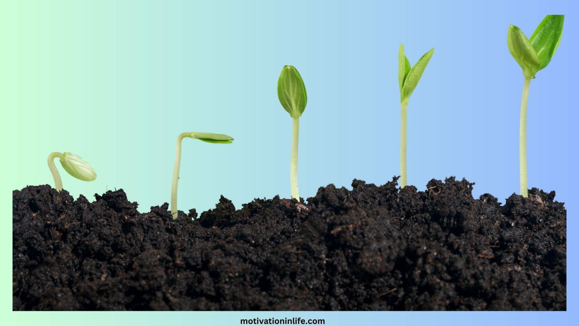 13 Personal Growth Examples And Goals For Better Life
